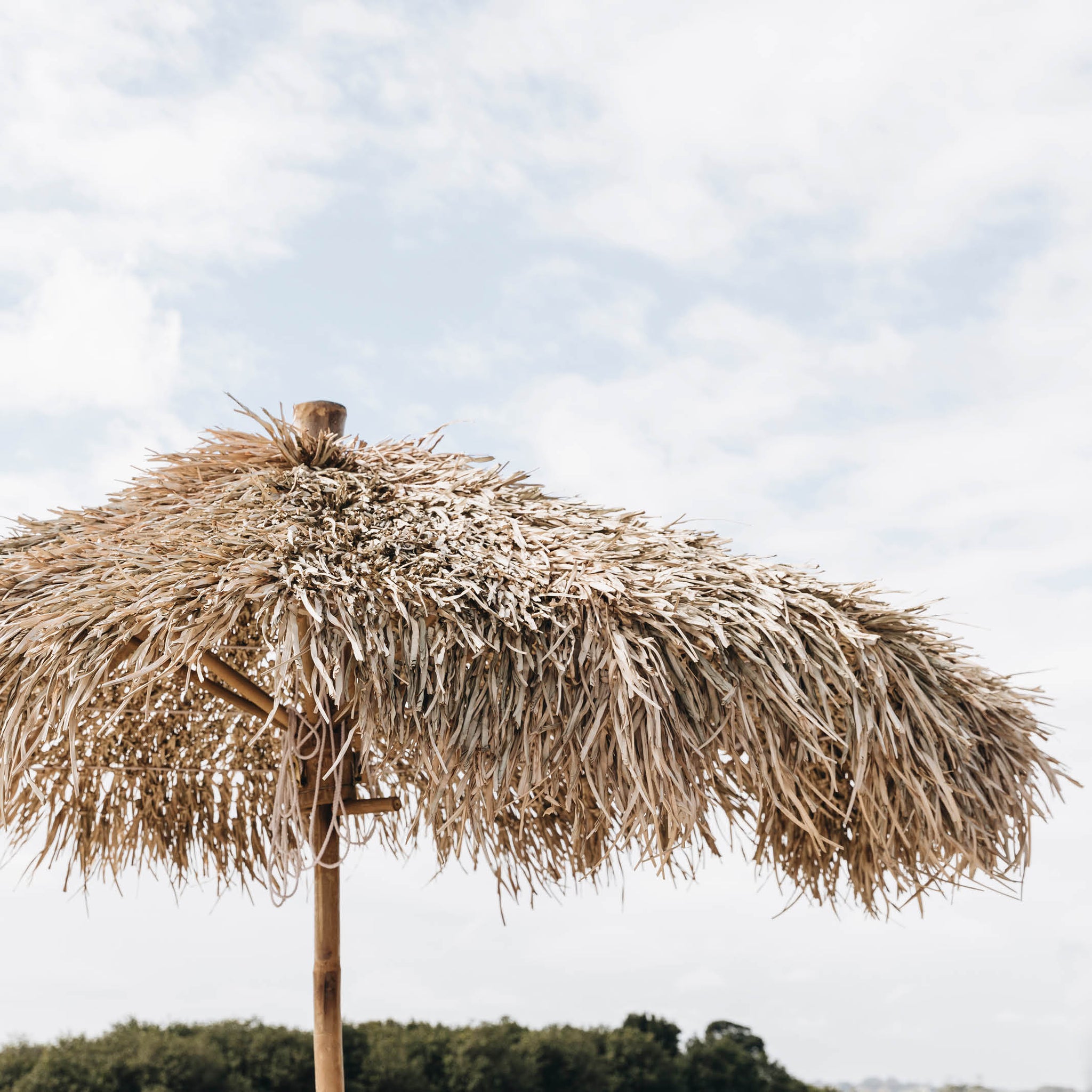 Raffia Umbrella – House of Harvey Co.